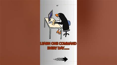 Learn One Command Every Day 47 Linuxtutorial Linuxcommandlinetutorial Linuxcommands Youtube