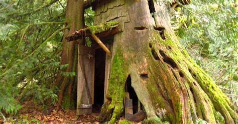 Hike To Guillemont Cove Stump House Seabeck Washington