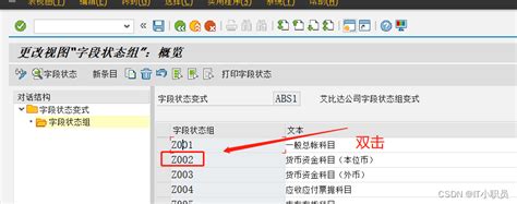 Sap S4 Fi 后台详细配置教程文档 Part2 （财务会计的基本设置篇）sap辅助核算字段 Csdn博客
