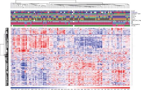 unsupervised hierarchical clustering for 103 samples and 603 valid