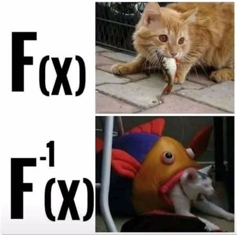 A Short Tutorial On Inverse Functions Rmemes