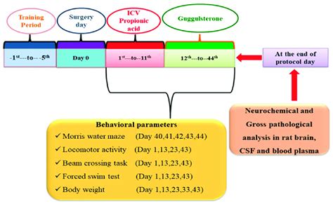 Experimental Protocol Schedule Download Scientific Diagram