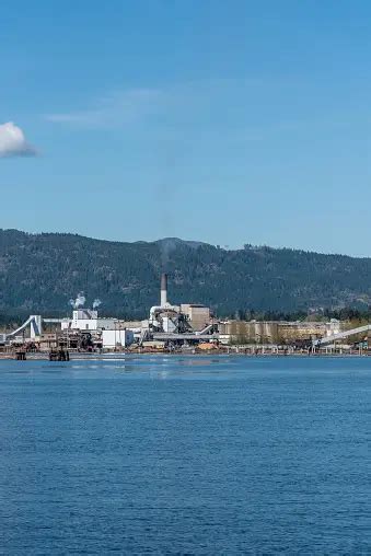Alberni Clayoquot C Photos Télécharger Des Images Gratuites Sur Unsplash