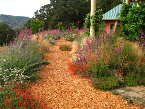 California Native Garden Plans At Hayden Seton Blog