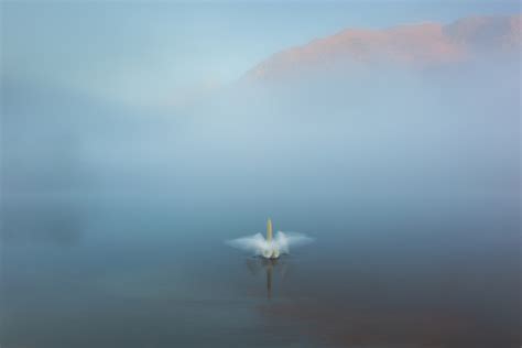 Barry Huttons Website