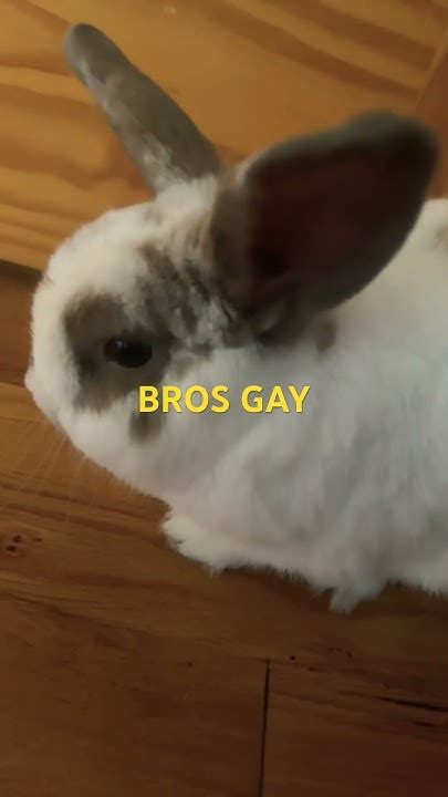 English Or Soanish Youtube