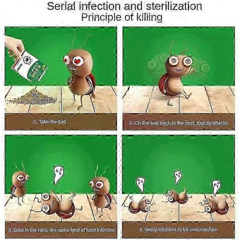 5 100 Bags Professional Cockroach Killing Bait Powder With Insect