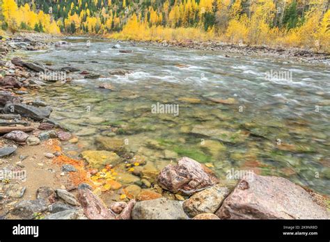 Fall Colors Along The Middle Fork Flathead River Near Essex Montana