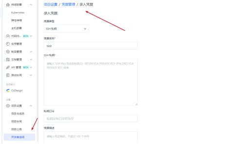 使用coding部署项目 Csdn博客 使用coding部署项目 Csdn博客