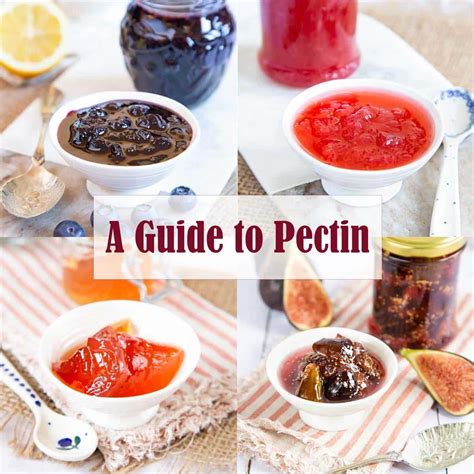 A Guide To Pectin How To Test For It And Use It Helens Fuss Free Flavours