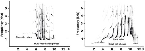 typical male s left and female s right spectrogram showing the