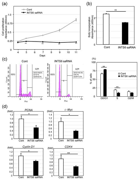 Integrator Complex Subunit 6 Regulates Biological Nature Of