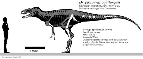 Dryptosaurus