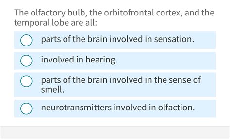 Solved The Olfactory Bulb The Orbitofrontal Cortex And