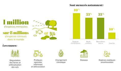 Quel Est Limpact De La Manière De Travailler Le Sol Sur La