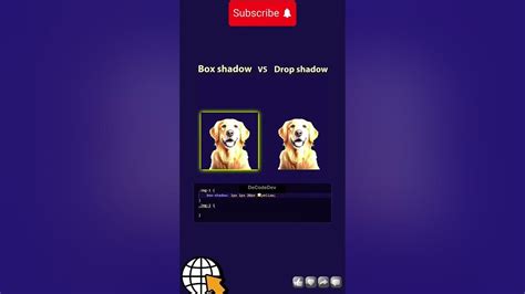 🥵🔥 Box Shadow Vs Drop Shadow In Css Solve It Html New Tutorials