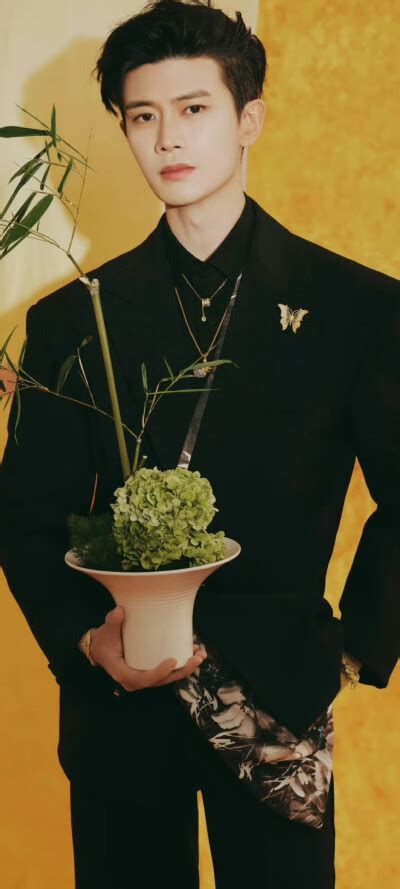 任嘉伦 高清图片，堆糖，美图壁纸兴趣社区