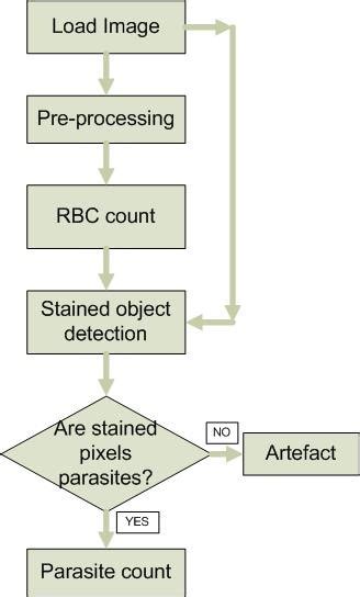 Flowchart Describing The Steps Of The Proposed Algorithm Download Scientific Diagram