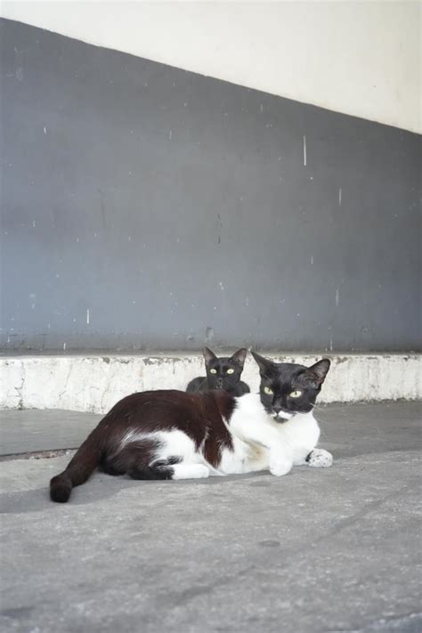 Oops May Sumilip Rcatsofrph