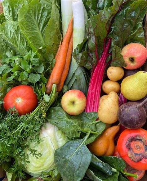 Fresh This Week Slo Veg