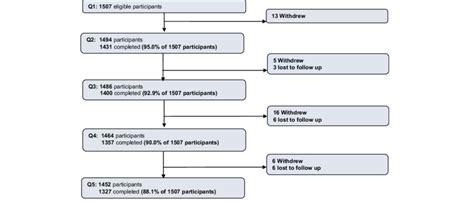 Maternal Health Study Participation Flowchart To 18 Months Postpartum