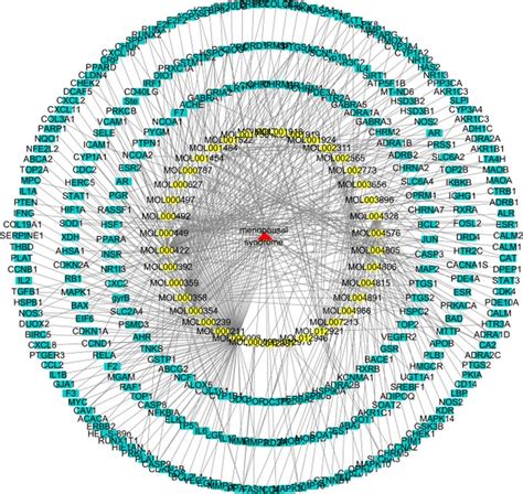 Compounds Disease Targets Network The Red Triangle Represents Disease