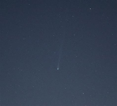 News Sulla Cometa Nishimura Coelum Astronomia