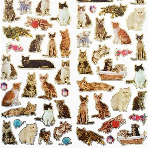 Kleepsud Kassid Ahhaa Teaduspood