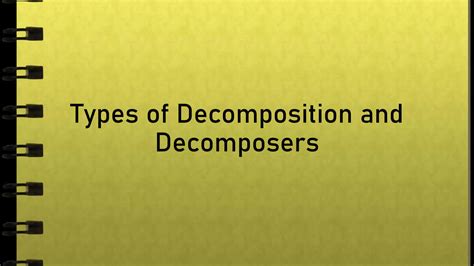 Solution Types Of Decomposition And Decomposers Studypool