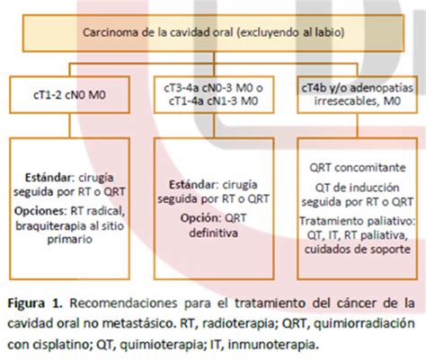Cáncer De Cyc Quizlet