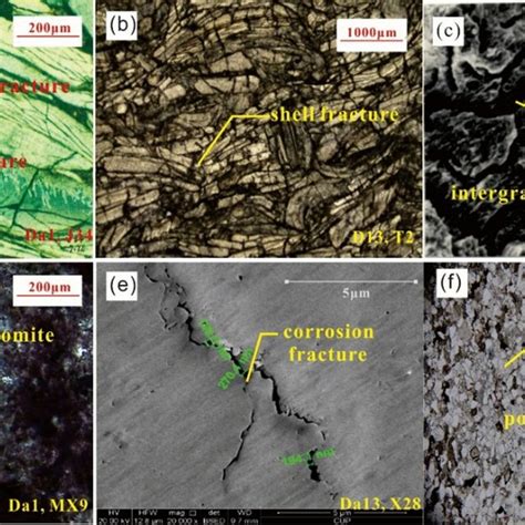 Logging Response Characteristics Of Microscale Fractures A Download Scientific Diagram