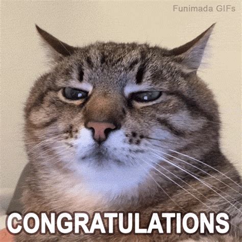 Congrats Congratulations  Funny