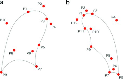 Setting Of Both Lung Fields Download Scientific Diagram