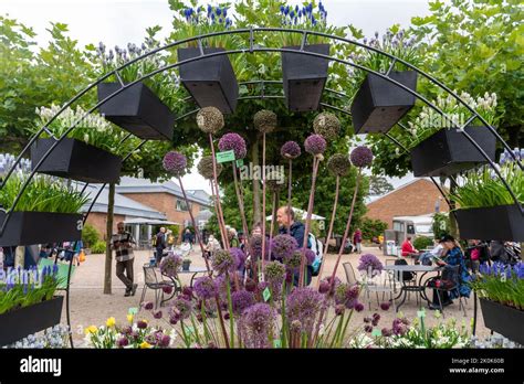 Where Is Wisley Flower Show At Susan Pittman Blog