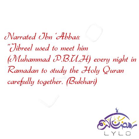 Lylo Lyloo Official Twitter