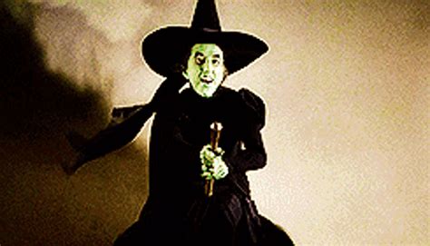 Wizard Of Oz Wicked Witch Flying