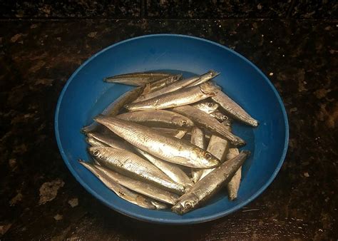 Justryingtoeat Crispy Fried Whitebait
