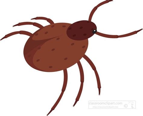 Insect Clipart Tick Insect Clipart