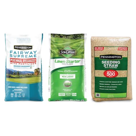 Shop Pennington Fall Overseeding With Perennial Ryegrass At