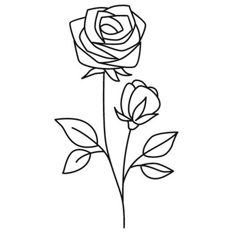 30 Easy Rose Drawing Outline Ideas For Beginners Geekbitz