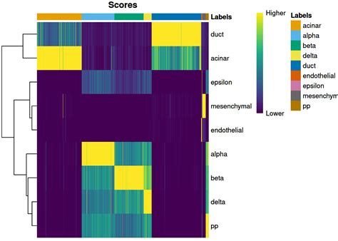 Chapter 8 Cross Annotating Human Pancreas Assigning Cell Types With Singler
