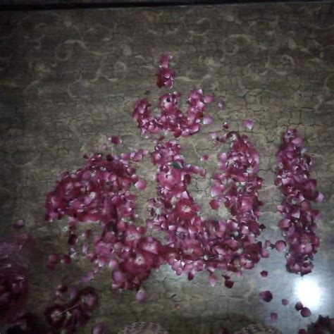 Exam Result 😣 پری زاد Facebook