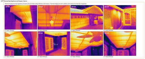 Thermal Imaging Report Template