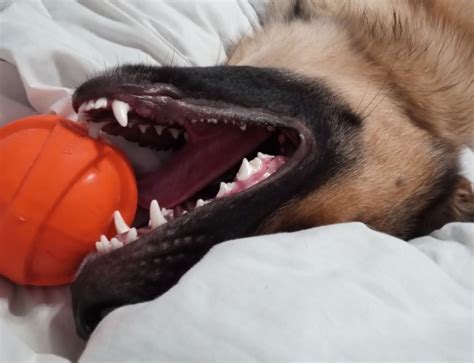 The Bed Gremlins Reading List On Tumblr