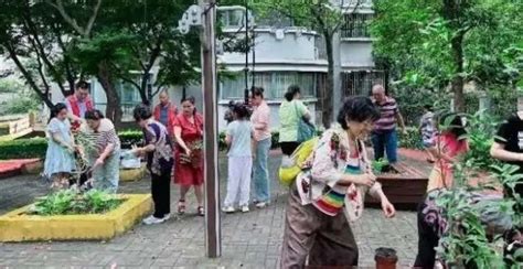 角落荒地变睦邻花园，幸福生活 就地升温”腾讯新闻