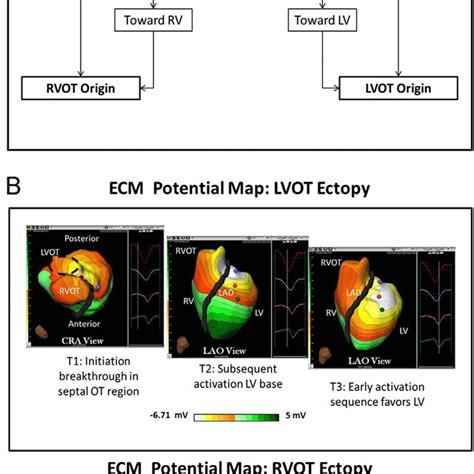 Ecm Pacing Spike Voltage Maps And Activation Maps Left Panel Download Scientific Diagram