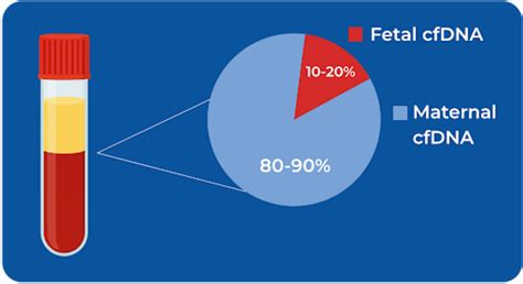 Non Invasive Prenatal Testing Nipt Lubio Blog