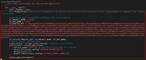 Python On Instance Snappyflow