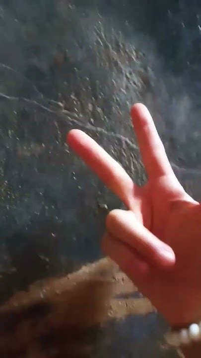 ادعمون يا اخوت Youtube