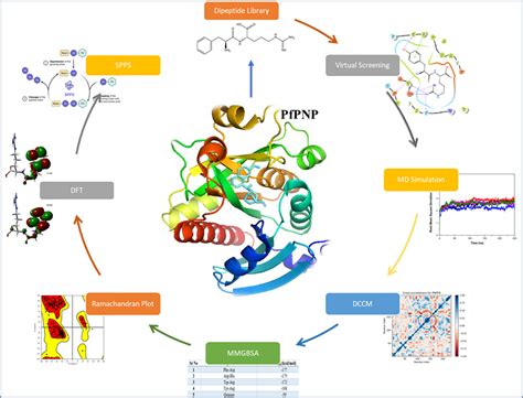 Novel Dipeptide Inhibitors Of Pfpnp In‐silico Identification Of